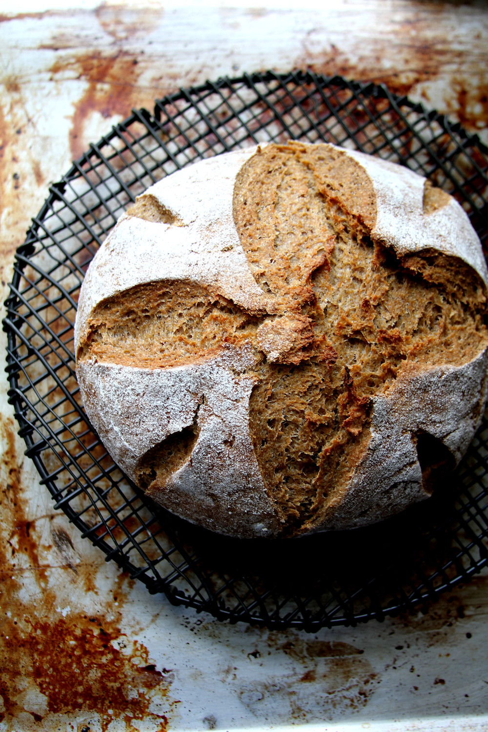 Six Grain Whole Wheat Sourdough Bread – A Cup of Sugar … A Pinch of Salt