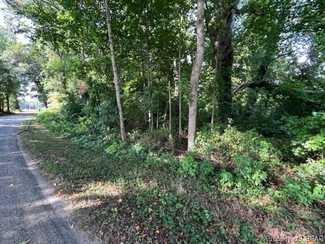 0 Old Glebe Point Rd - Liz Moore and Associates