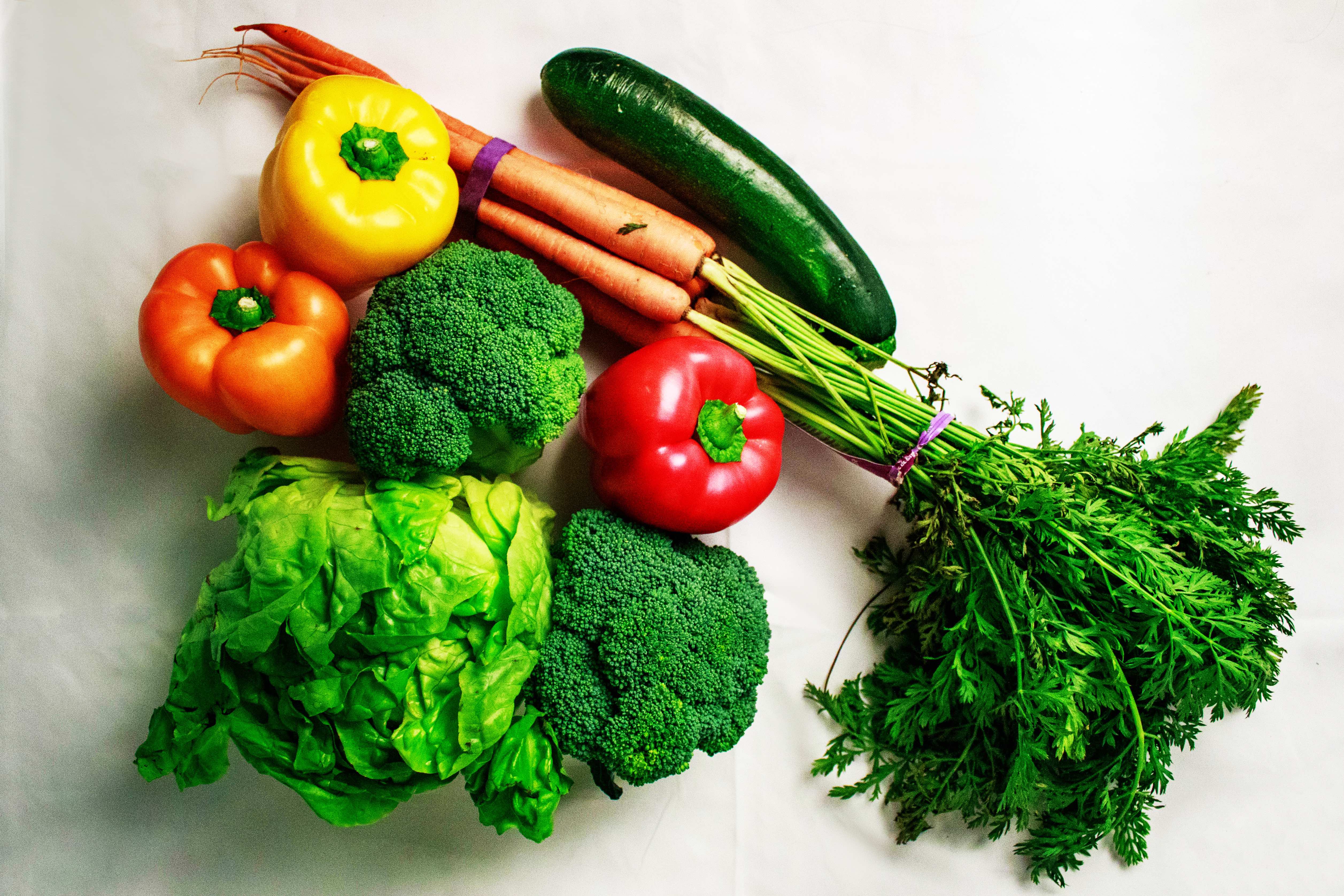 Syracuse's Vegfest 2019 highlights local vegan culture - The Daily Orange