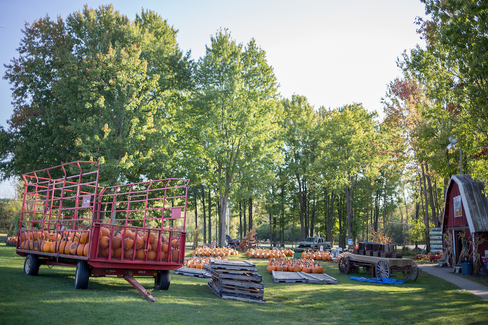 Here are 5 local festivals to welcome the fall season - The Daily Orange