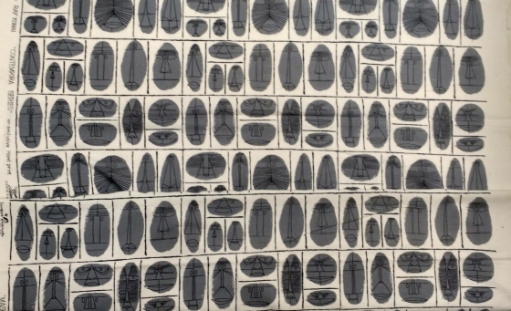 Masks | Denver Art Museum