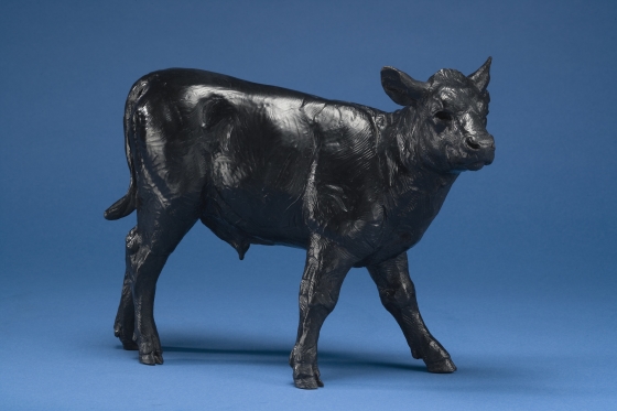 Scottish Angus Cow and Calf | Denver Art Museum