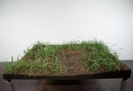 Vibrating Field | Denver Art Museum