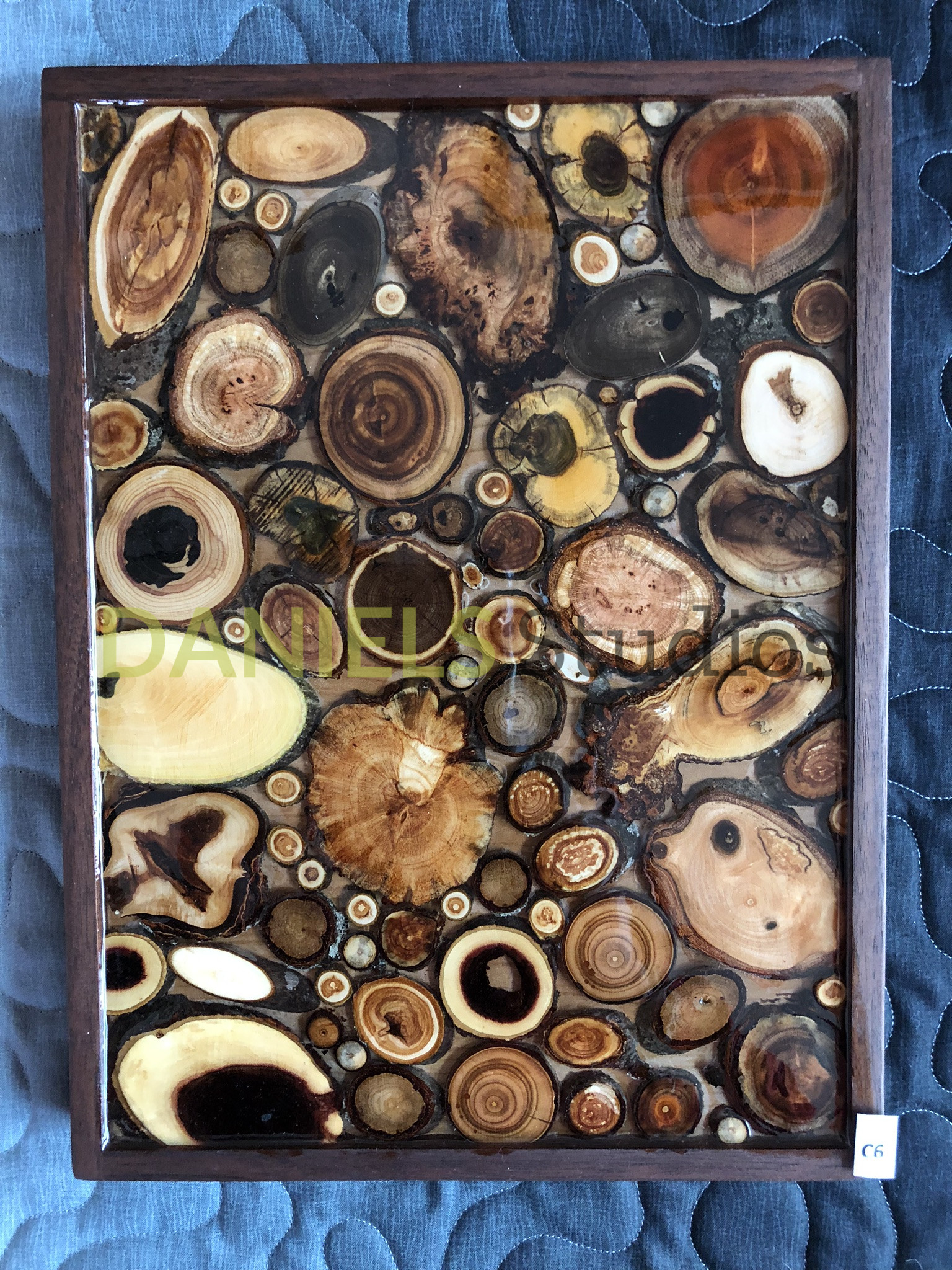 Gallery Daniels Studios