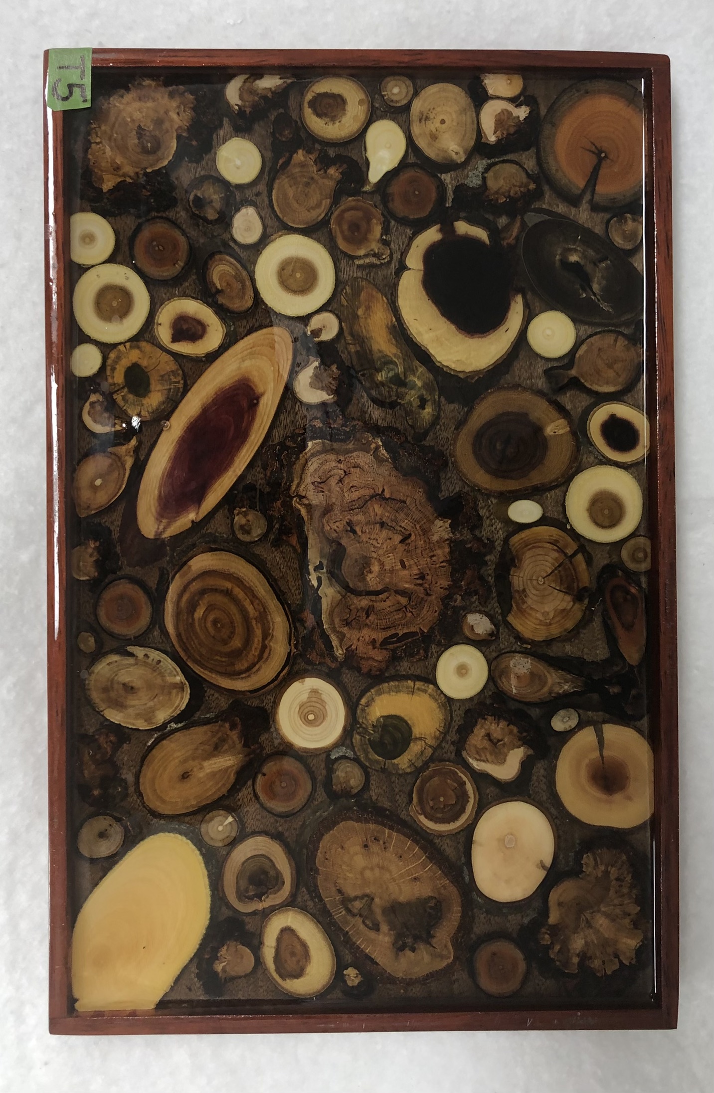 Walnut Wood Slice Trivet and Cutting/Serving Board - Daniels Studios