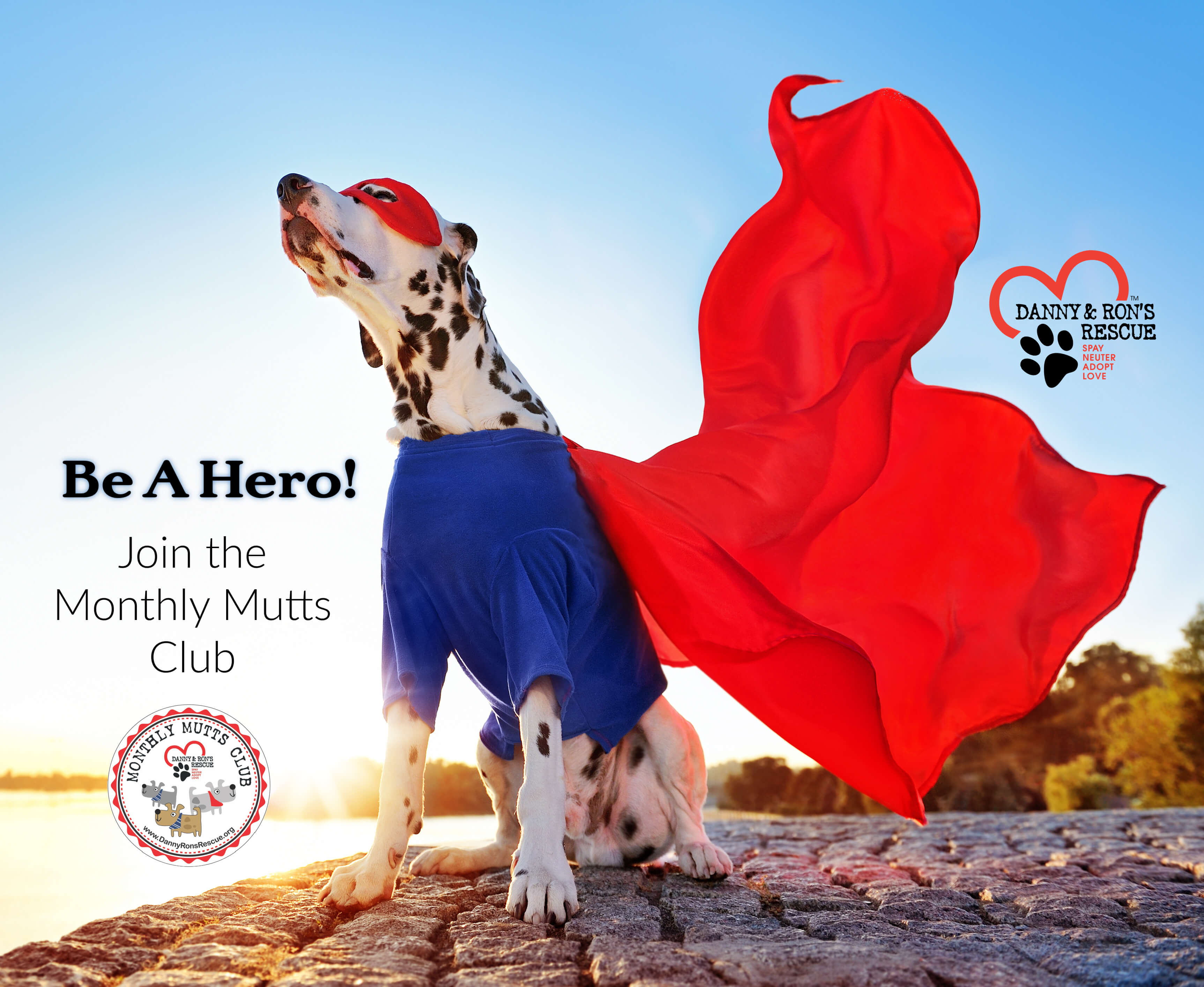 Danny & Ron's Rescue