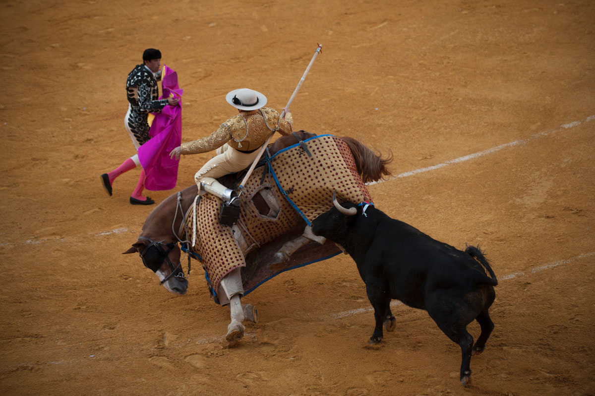Corpus bullfighting festival under way in Granada