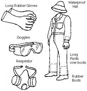 Equipment and Safety | Eco Mold Go