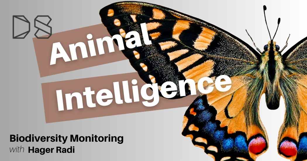 Biodiversity Monitoring