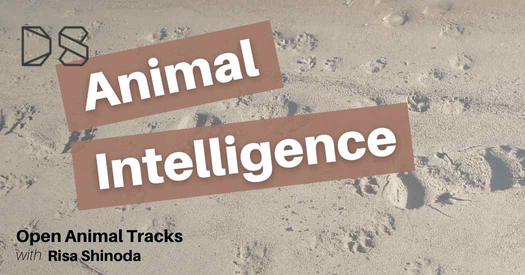 Open Animal Tracks