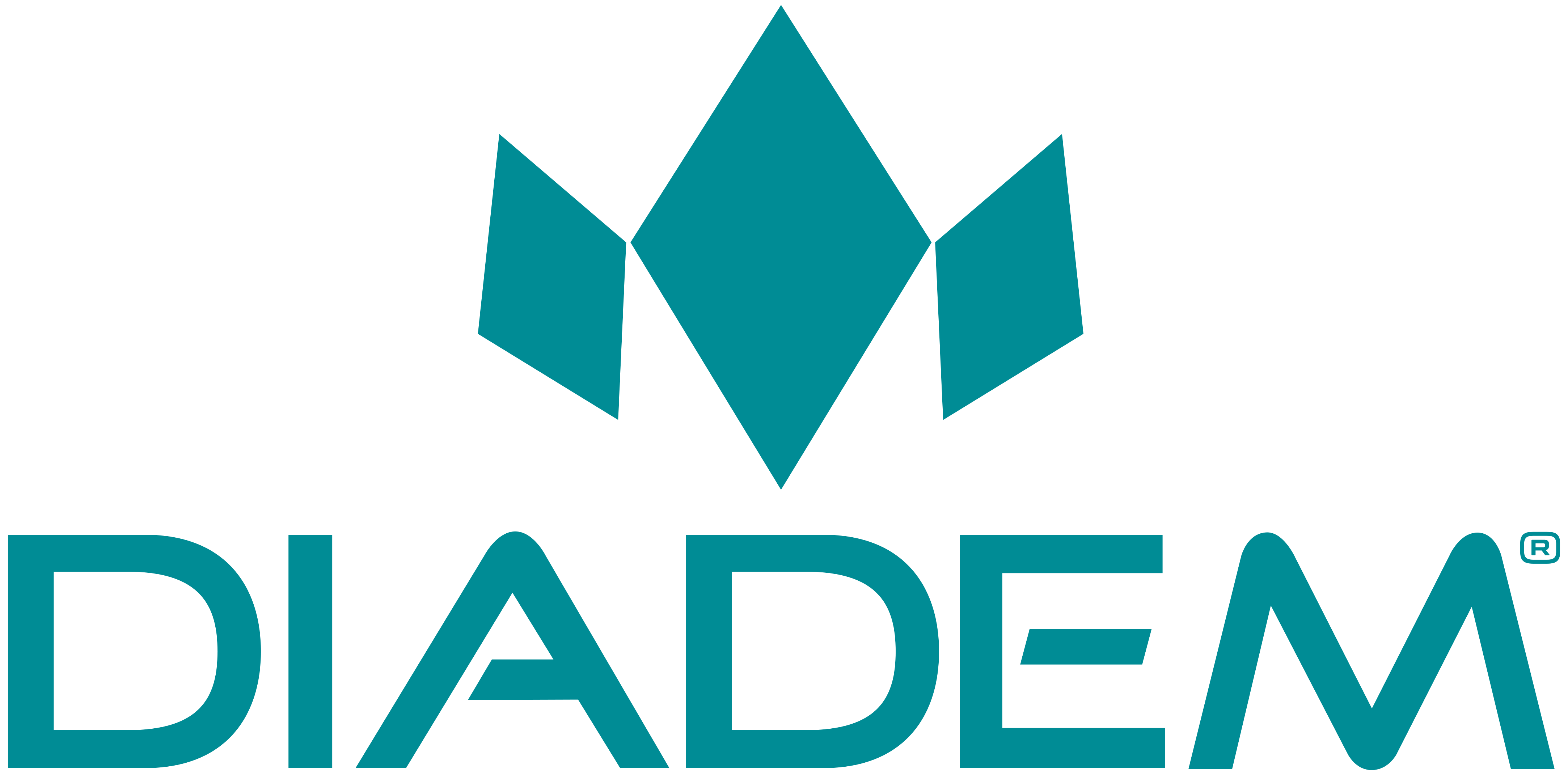 Diadem Sports Catalog