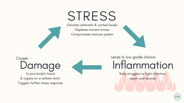 Autoimmune Disease | DC Hours