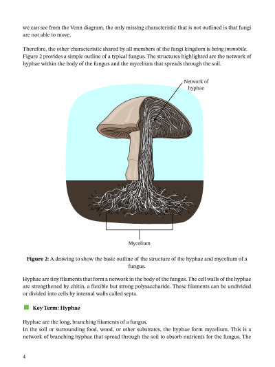 Lesson: Kingdom Fungi | Nagwa
