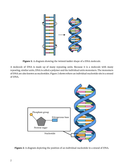 Lesson: DNA | Nagwa