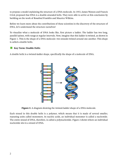Lesson: DNA Discovery and Structure | Nagwa