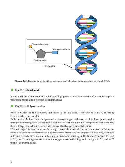 Lesson: DNA Discovery and Structure | Nagwa