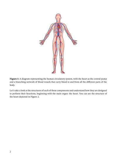 Lesson: Circulatory Pathways | Nagwa