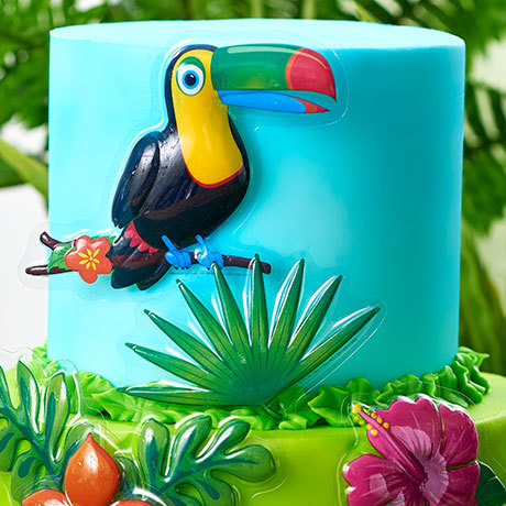 DecoPac Inc. - On Top of the World's Best Cakes | DecoPac