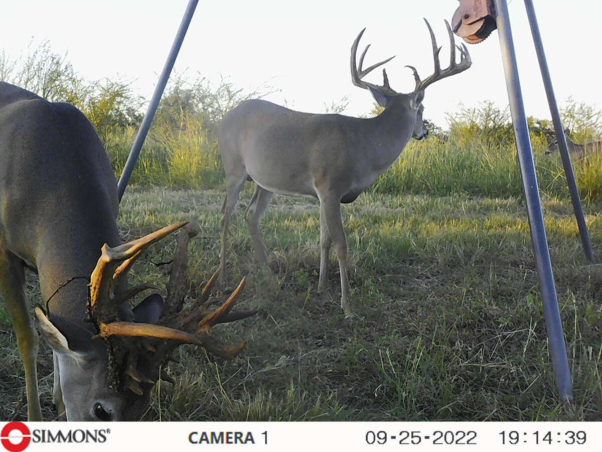 DeerLab | Double Duce via DeerLab (1apf935)