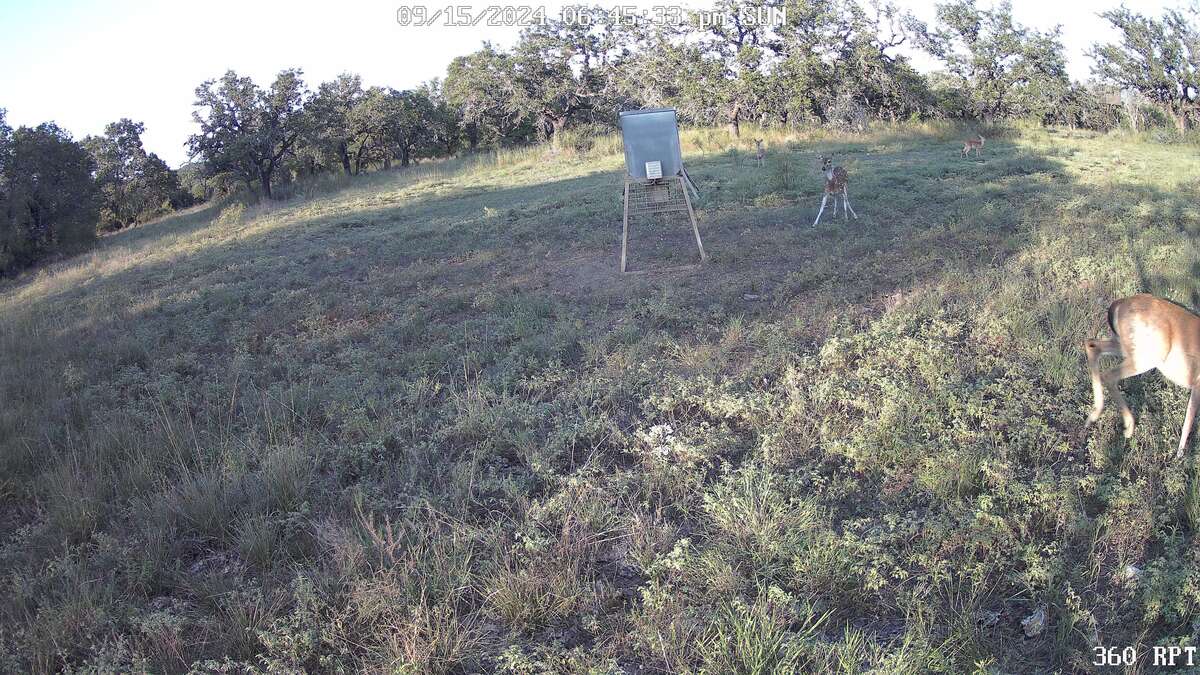 DeerLab | Sep 15 6:46PM in Axis via DeerLab (cab7e15)