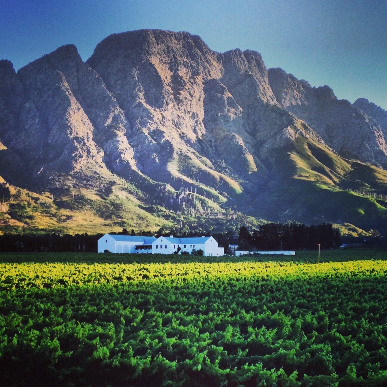 Matthew Santini – Delectable Wine