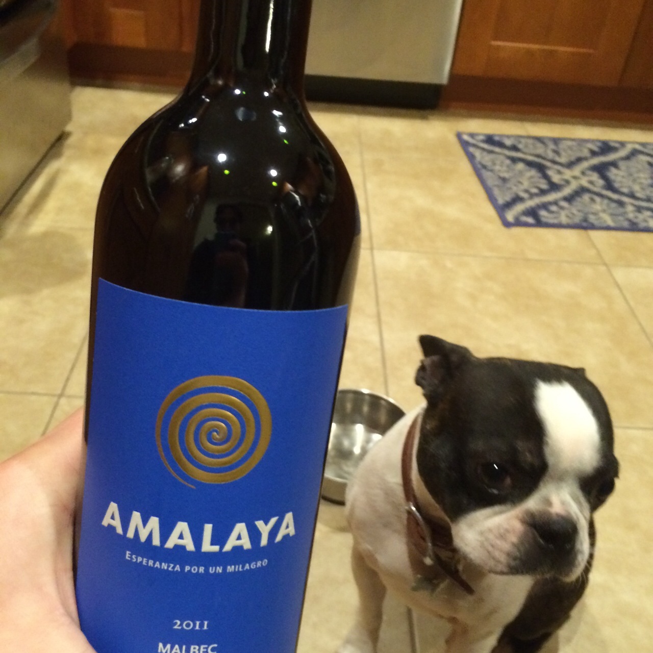Bodega Amalaya Valles Calchaquíes Malbec