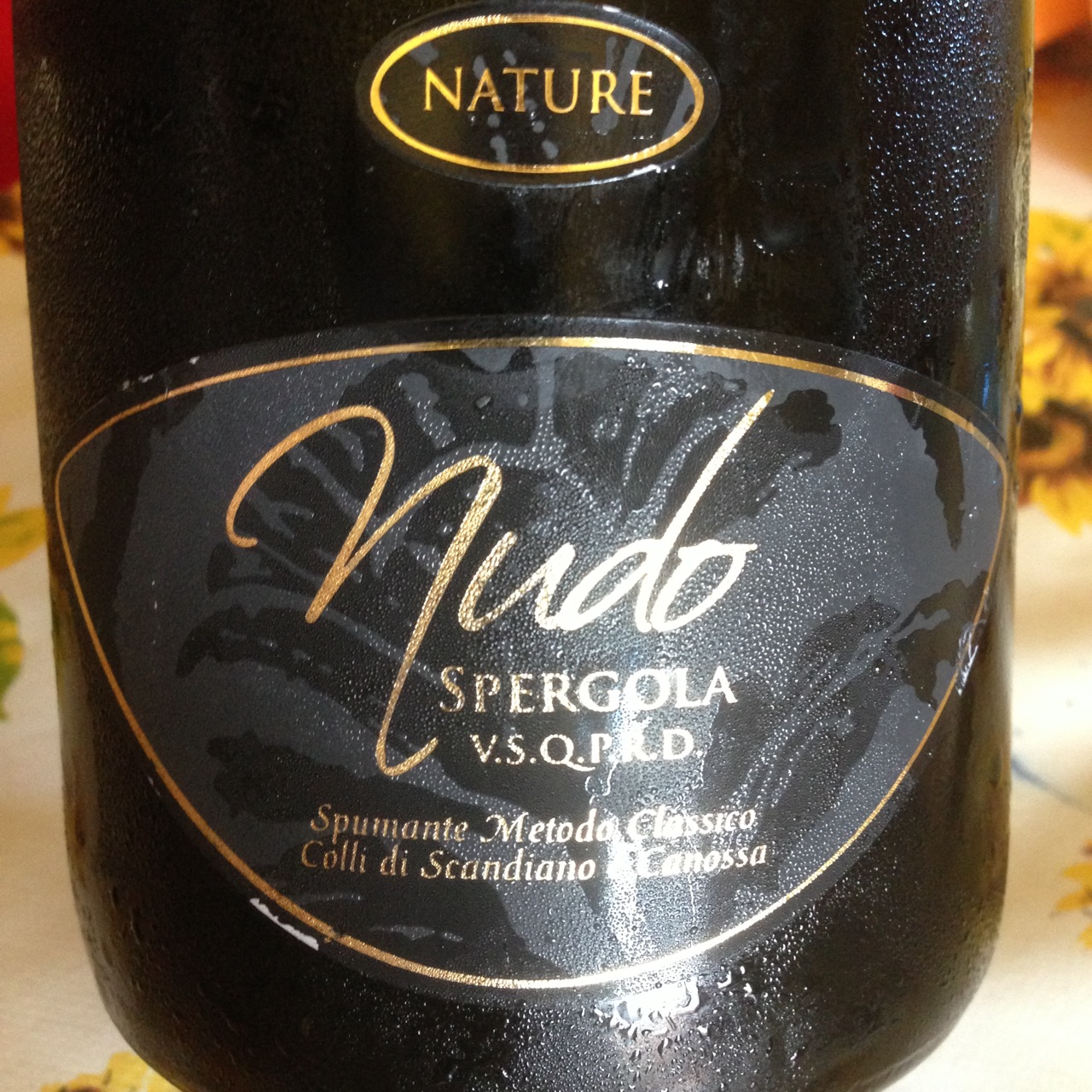 Cantina Arceto Nudo Nature Spumante Spergola