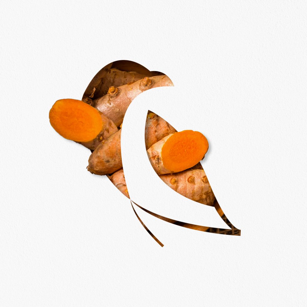 What is Methylation? – Del Negro Integrative Health