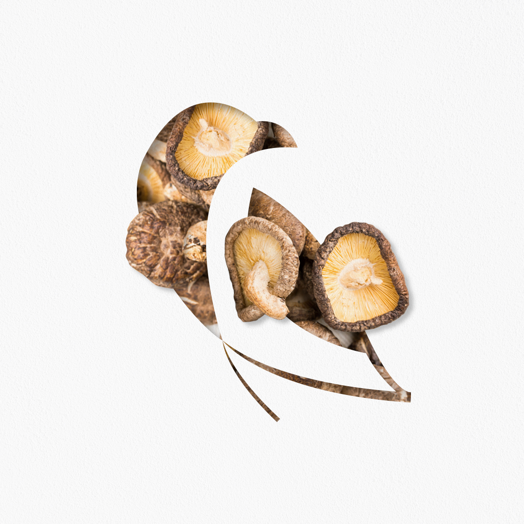 What is Methylation? – Del Negro Integrative Health