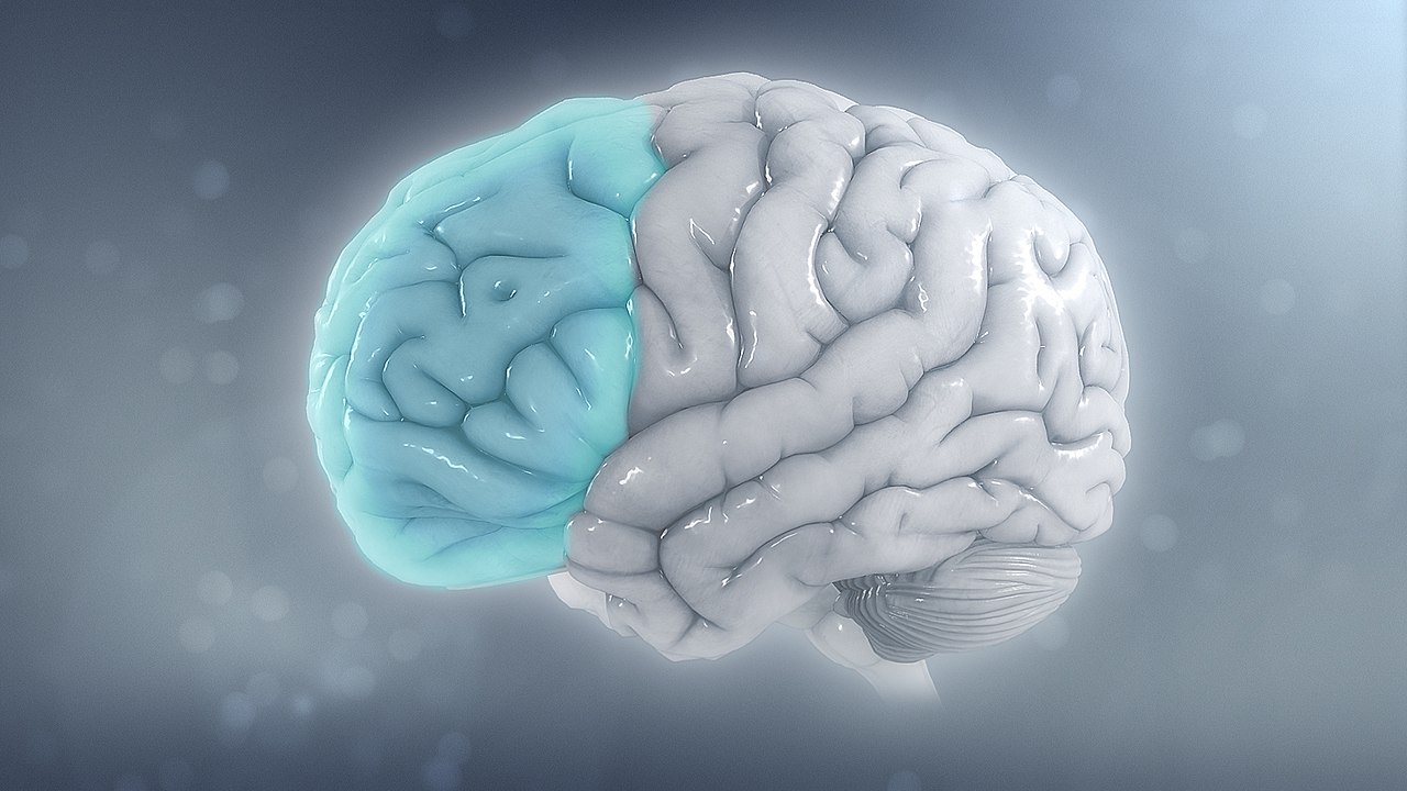 Attention Deficit Hyperactivity Disorder ADHD DelveInsight Business attention-deficit-hyperactivity-disorder-adhd-delveinsight-business