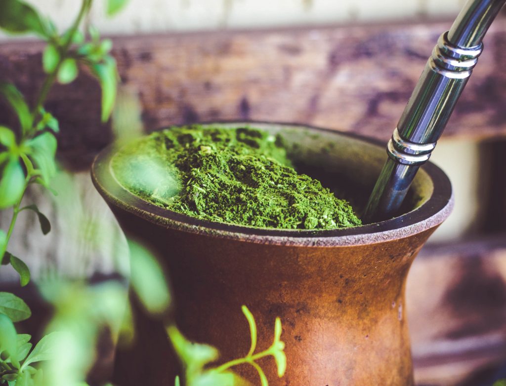 Ciclo Da Erva-mate No Paraná - LIBRAIN