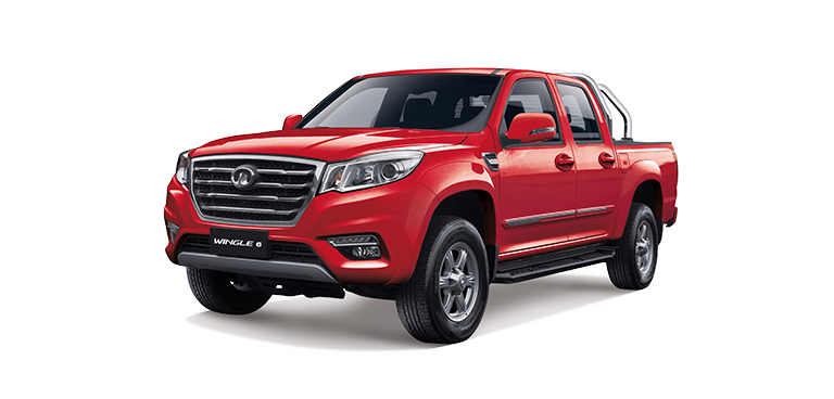 New Wingle 6 - Dercocenter