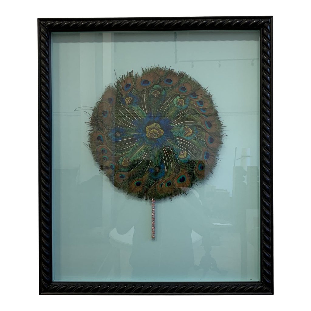 Custom Vintage Peacock Fan Shadow Box Framed - Design Plus Gallery
