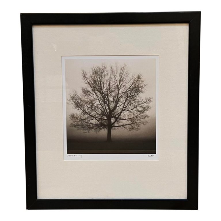 Richard Calvo Awakenings Photograph - Design Plus Gallery