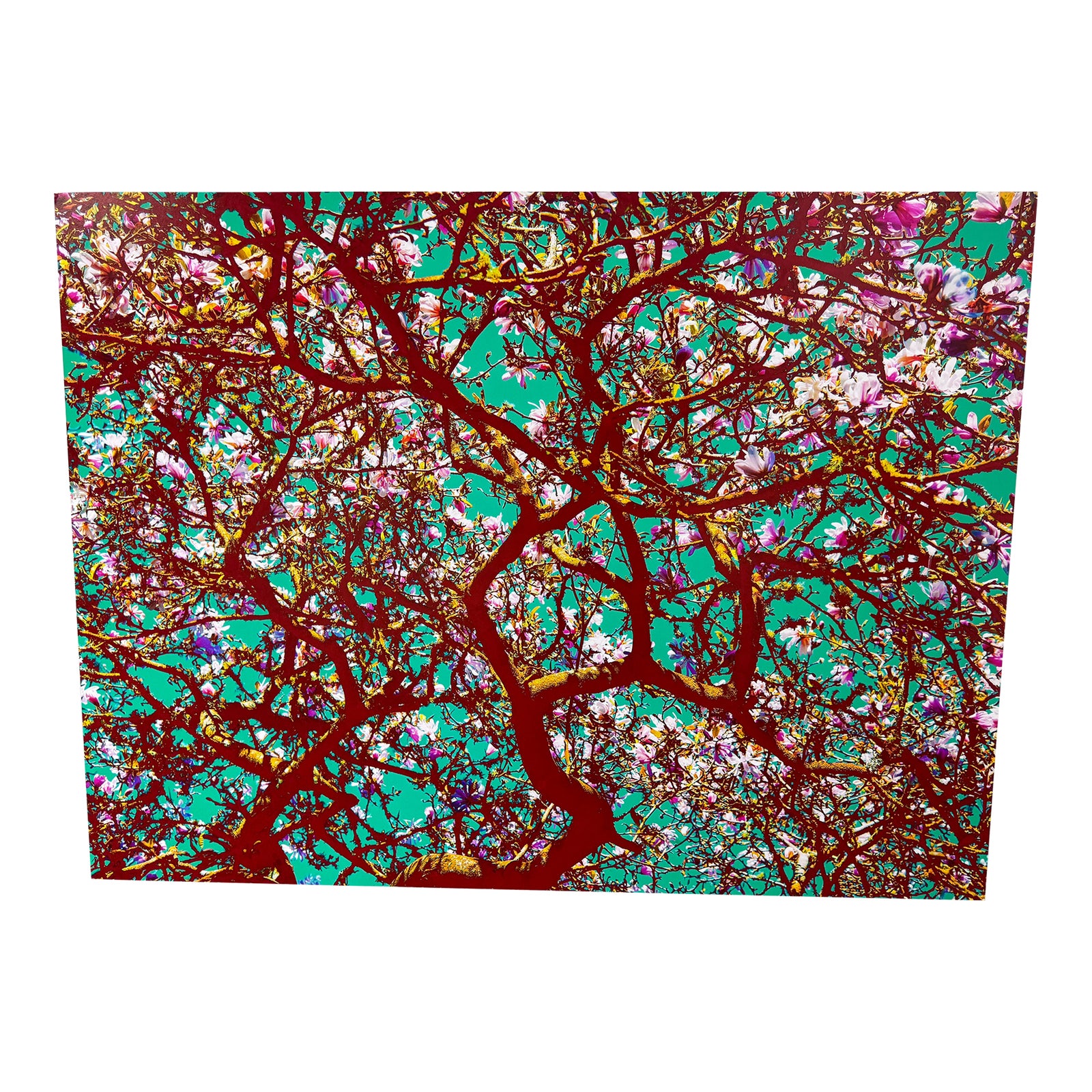 2018-dan-mcgarrah-winsome-archival-paper-print-on-sintra-back-with ...