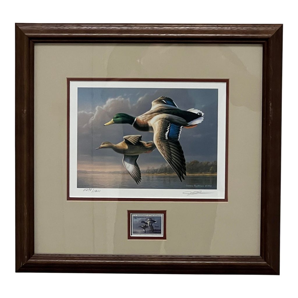 1995-1996 Federal Duck Stamp Print by James Hautman - Design Plus Gallery