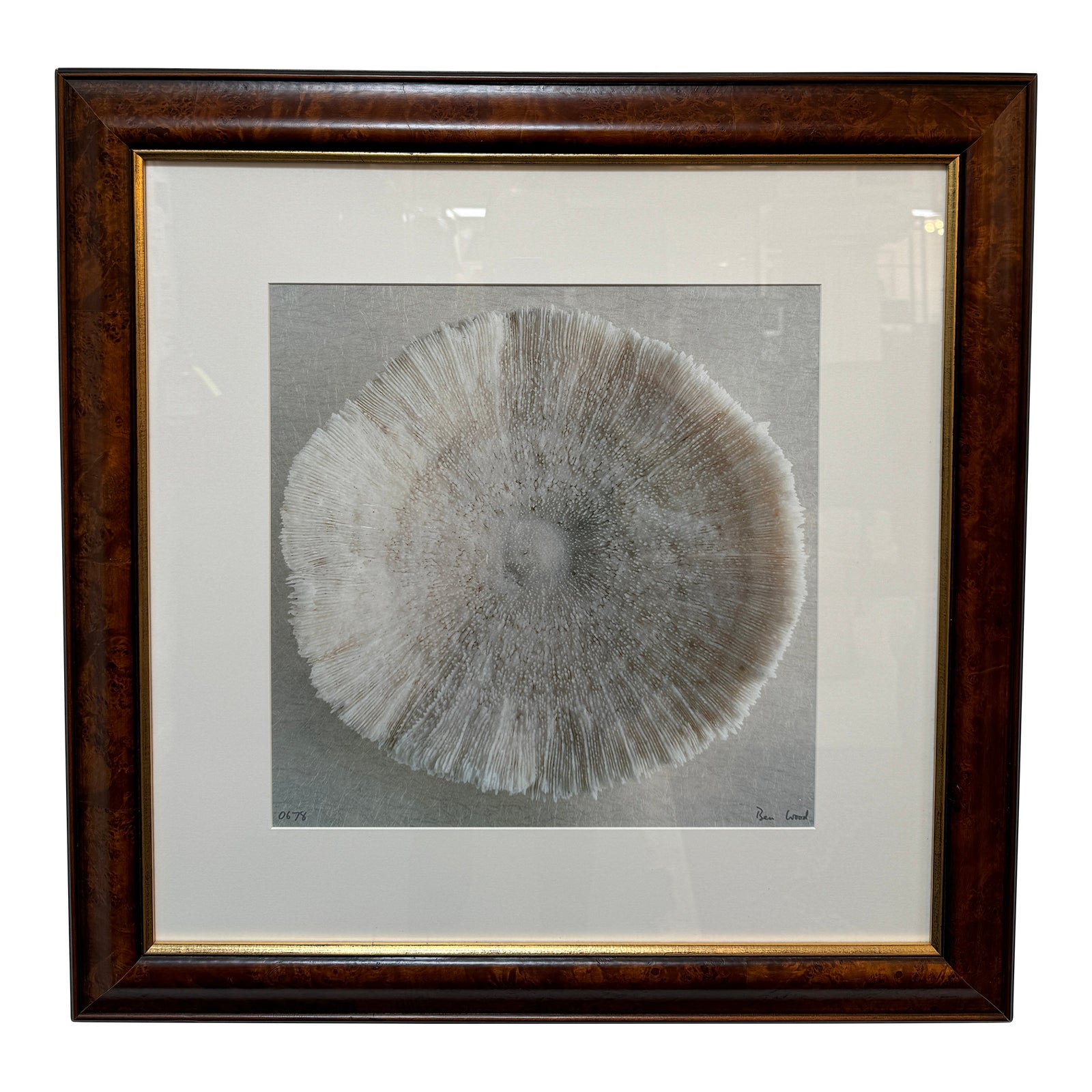 Marc Chagall “Paris Opera Ceiling” Ltd Edition Print 364/500 | Design ...