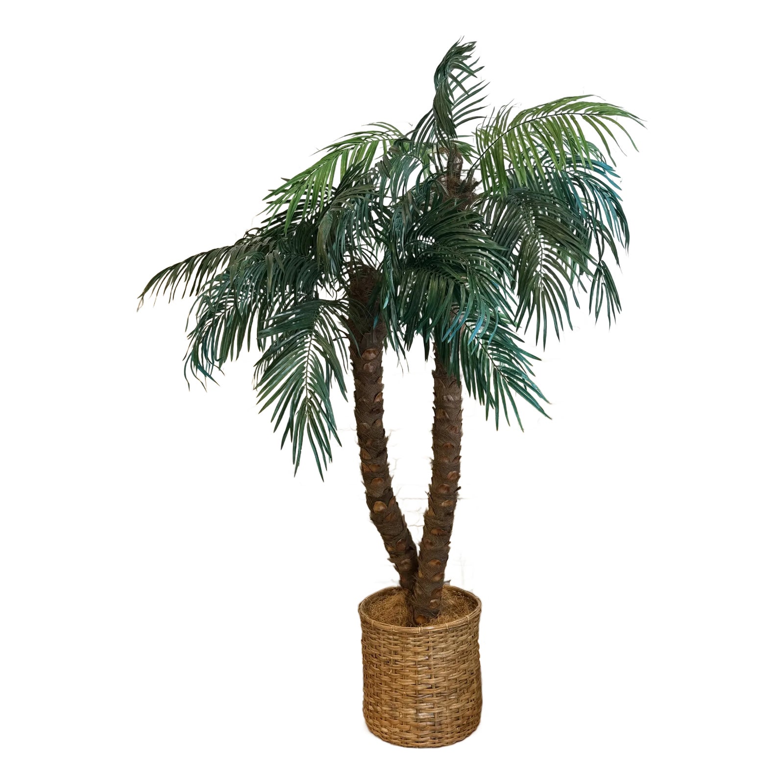 artificial-faux-pygmy-date-palm-tree-3813 - Design Plus Gallery