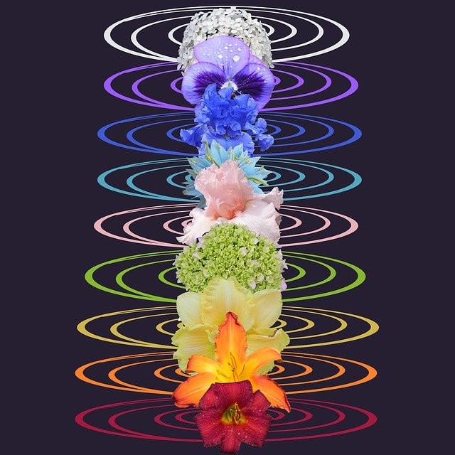 What Are Chakras And Why Are They Important? - Healing with Eamon