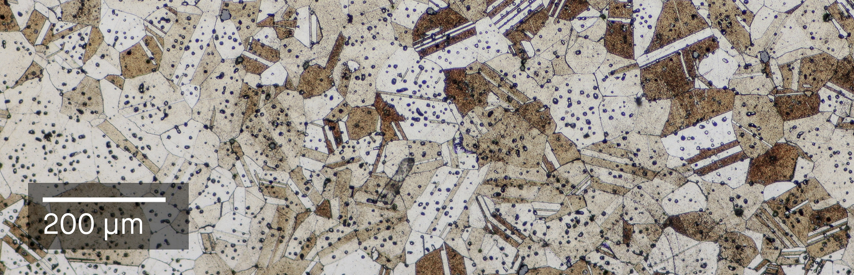 316L stainless steel | Desktop Metal