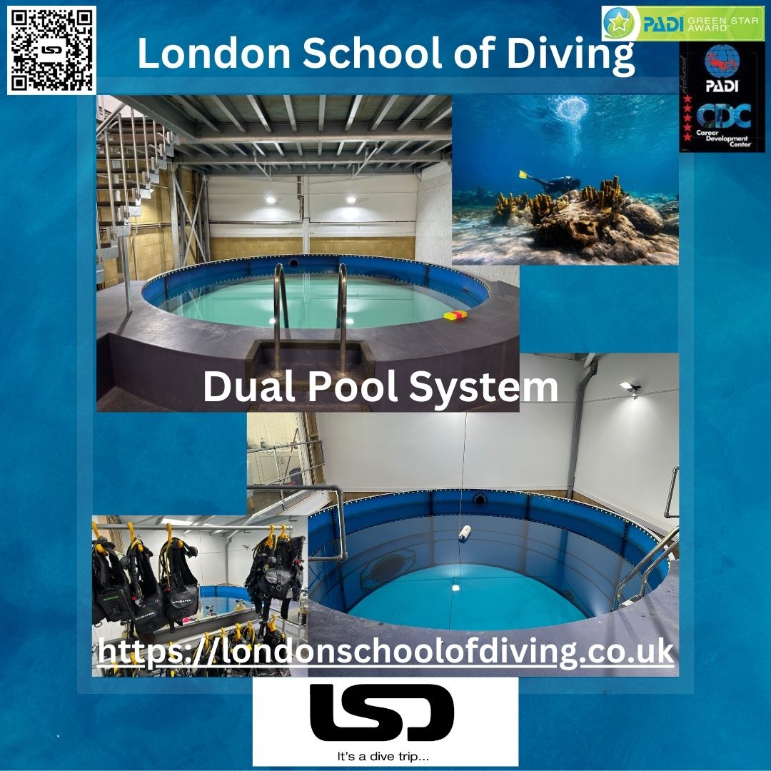 Why scuba dive with London School Of Diving? | LSD Scuba