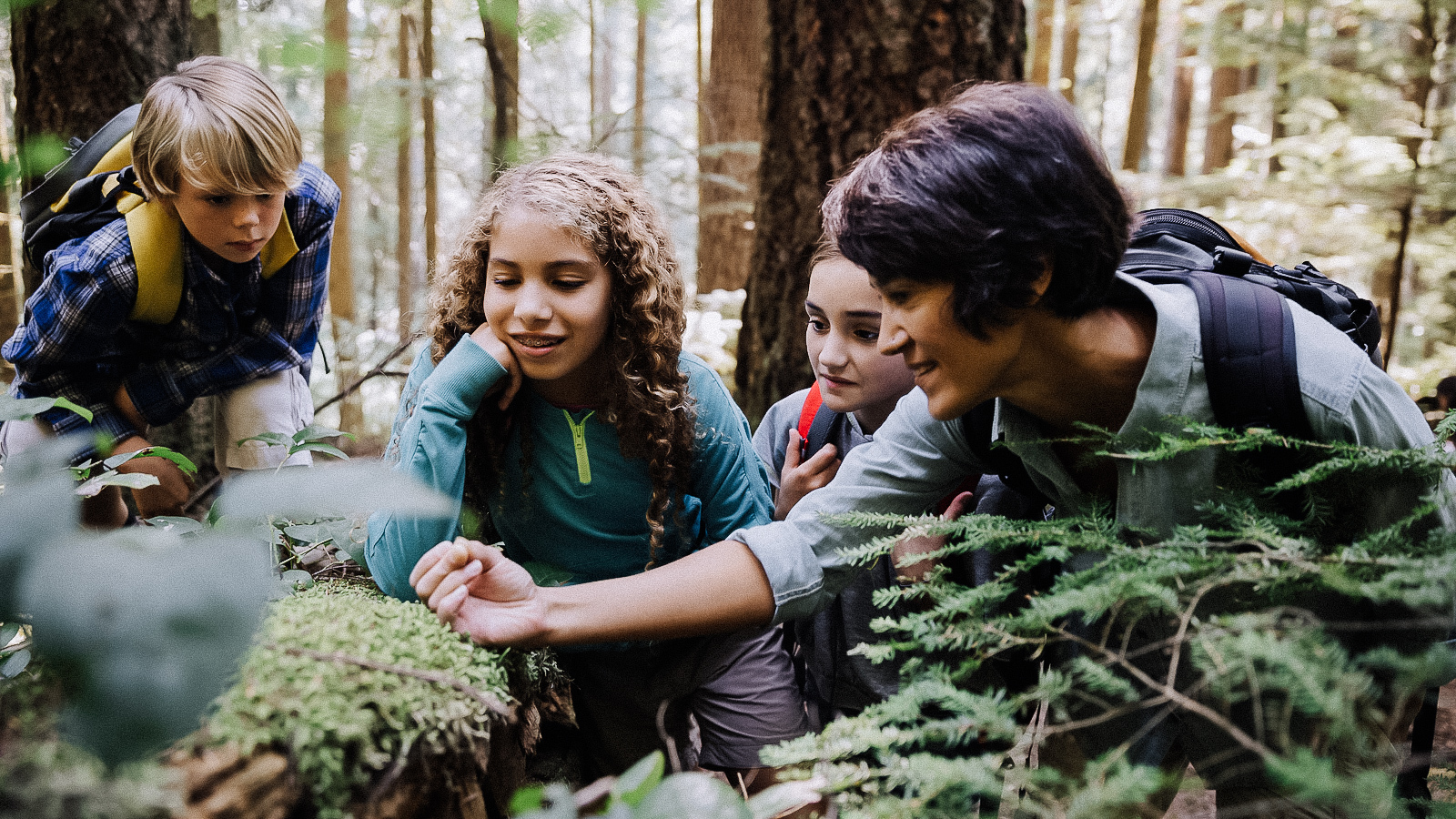 7 Fun Earth Day Activities for Middle & High School Students | Houghton ...