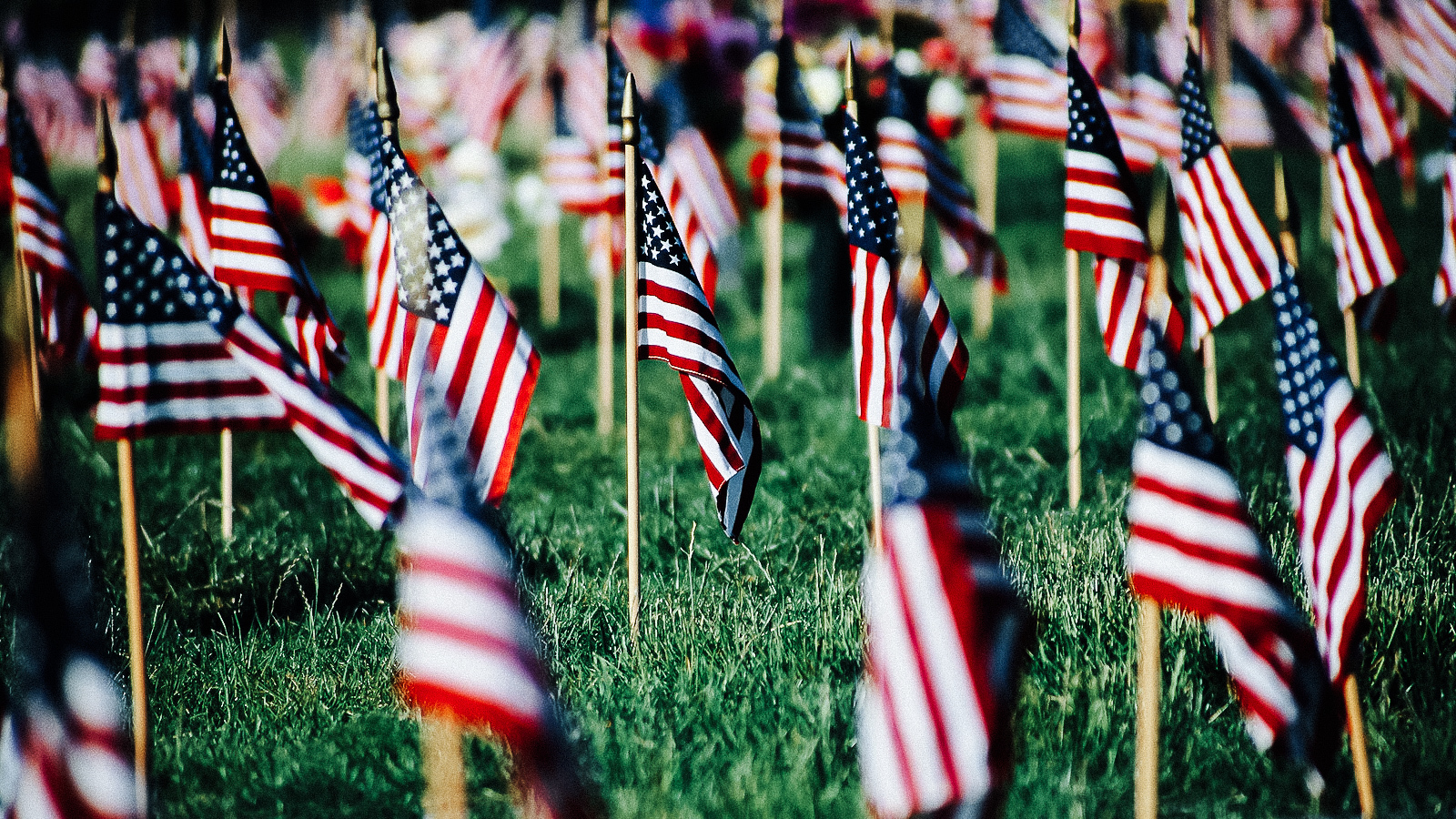 9 Memorial Day Activities for Elementary & Middle School Students ...