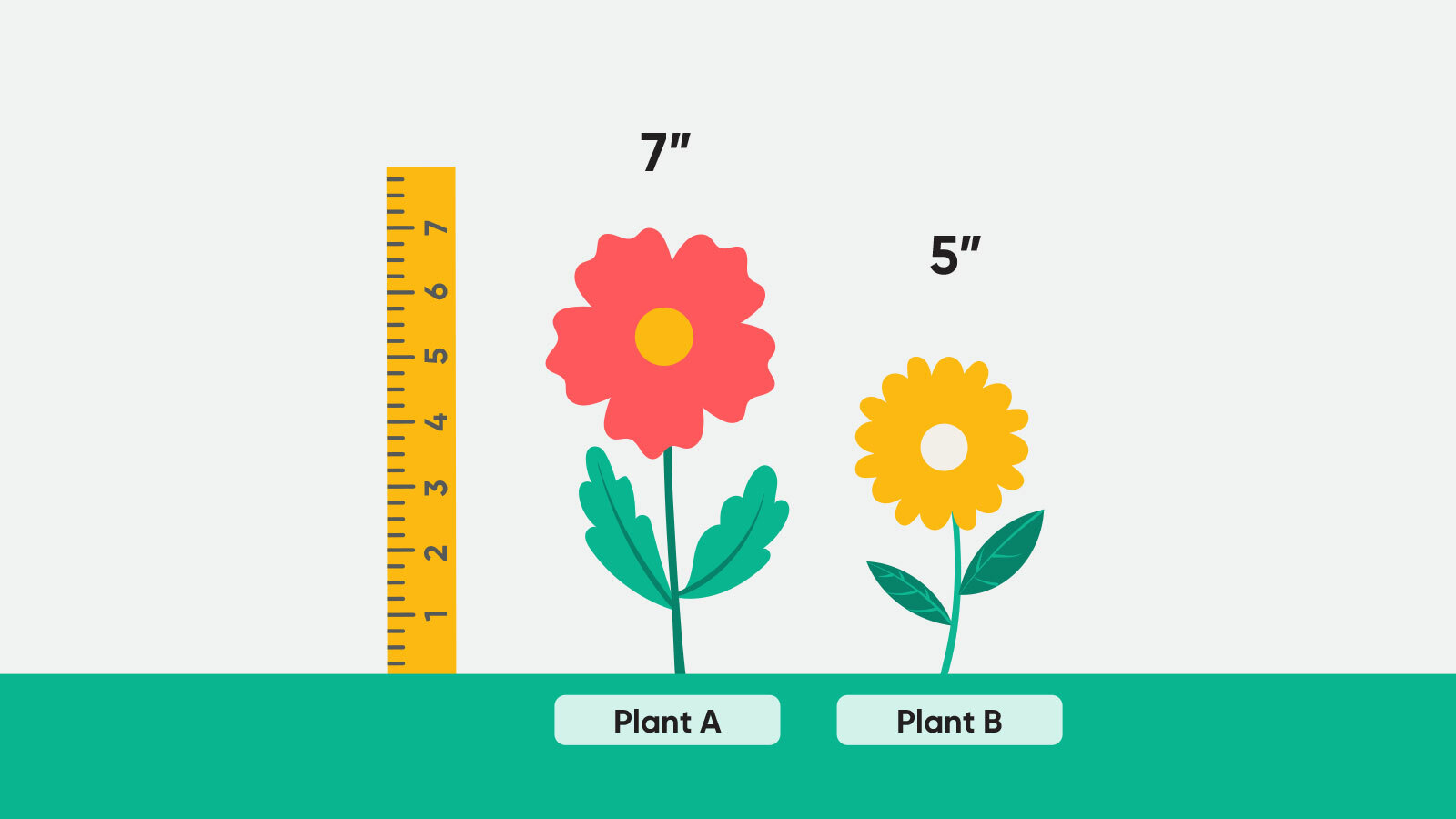 3 Different Types of Assessment in Education | Houghton Mifflin Harcourt