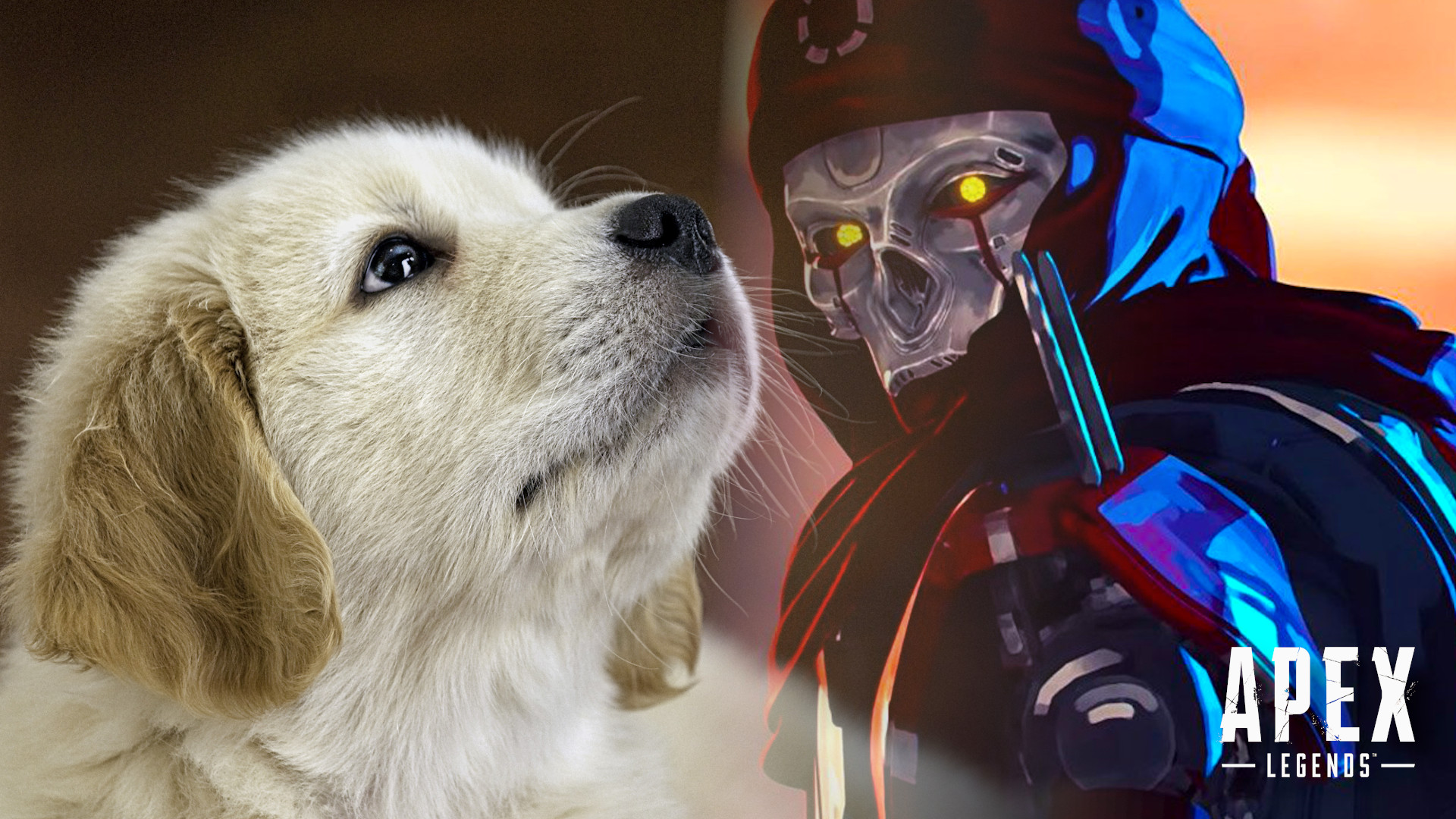 Apex Legends Revenant animation is hilariously spooking players' dogs ...