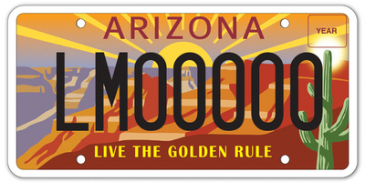 Forget barcode license plates, backlit is future! | VW Vortex ...