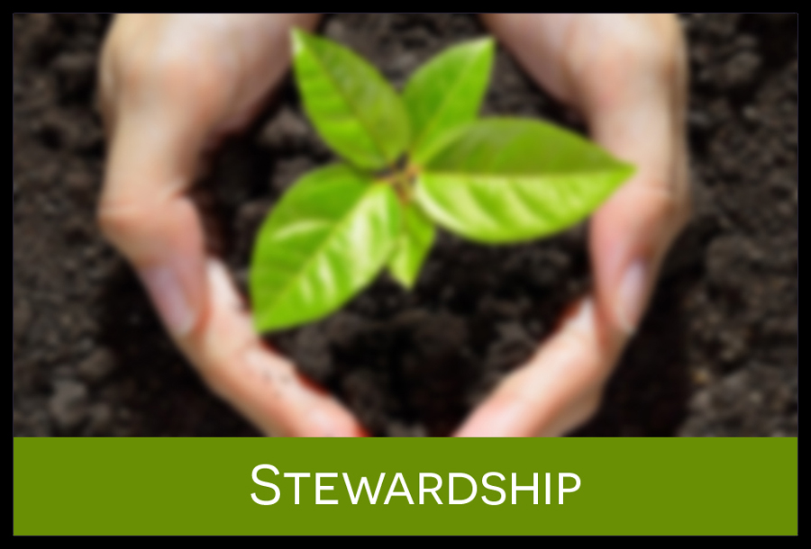 Financial | The Episcopal Diocese of Mississippi