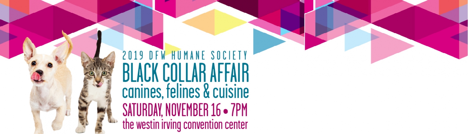 DFW Humane Society - A Nonprofit, No-Kill Animal Shelter - DFW Humane ...