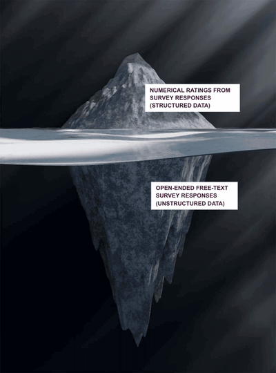 Amplifying customer voices – Digital.gov