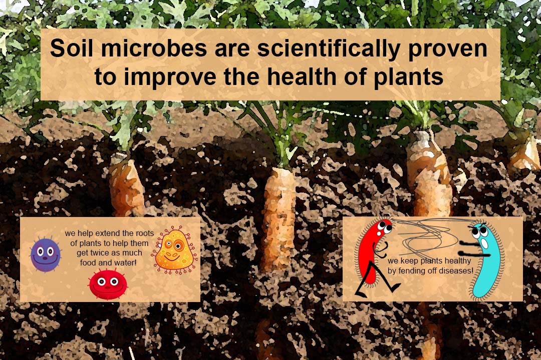 The Soil Microbiome